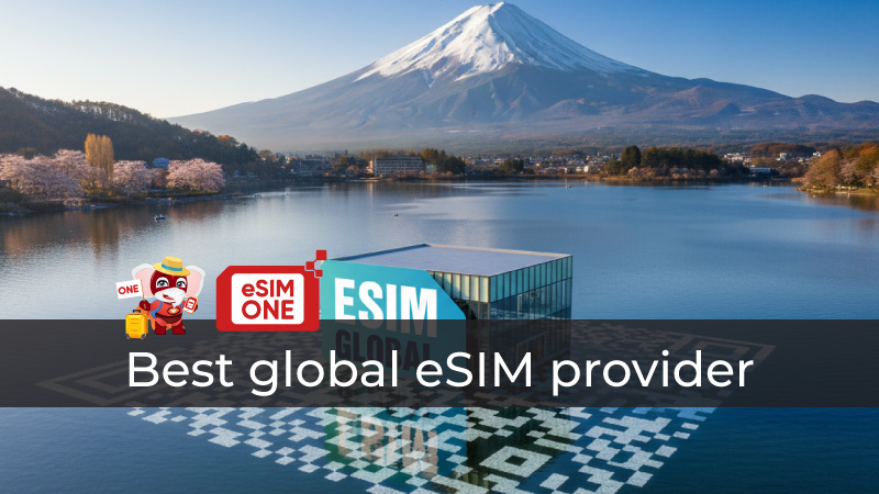 Best Global eSIM Provider Complete Coverage Guide