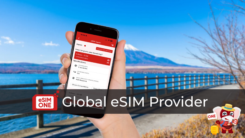 Global eSIM Provider Guide - Best Worldwide Coverage 2025